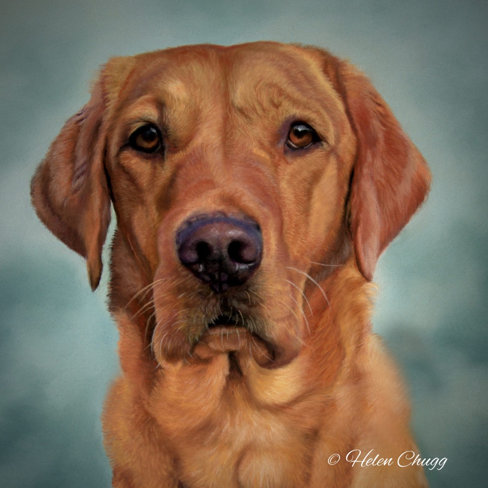 Helen's Pet Portraits | Pet Portrait Artist UK | Custom