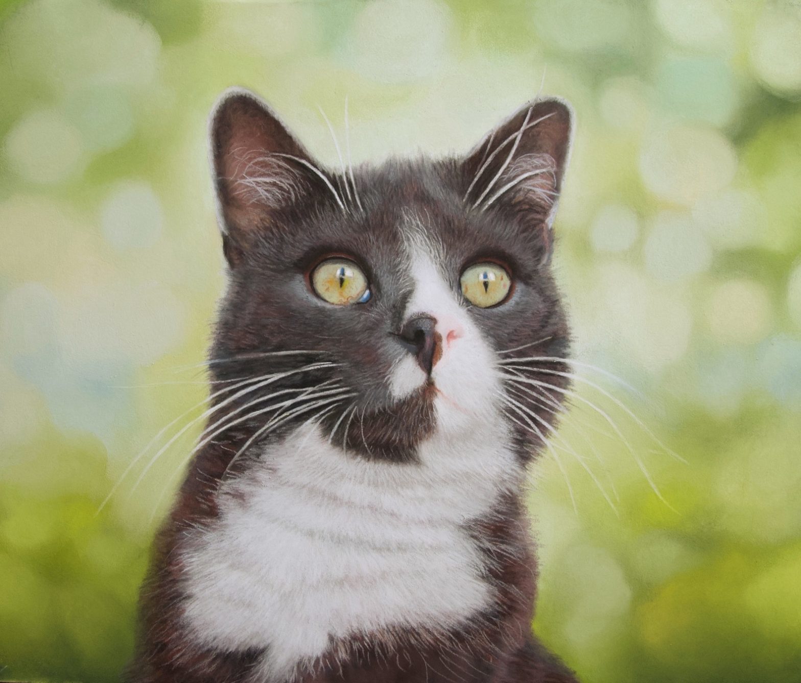 Blue Cat Portrait - Helen's Pet Portraits